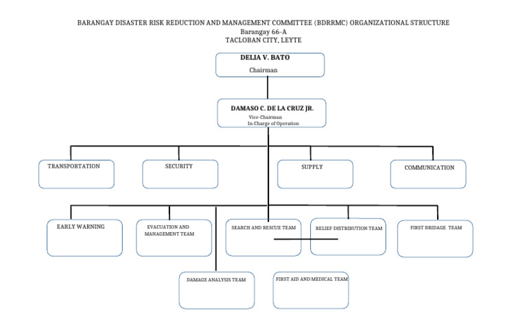 BDRRMC Structure | PDF
