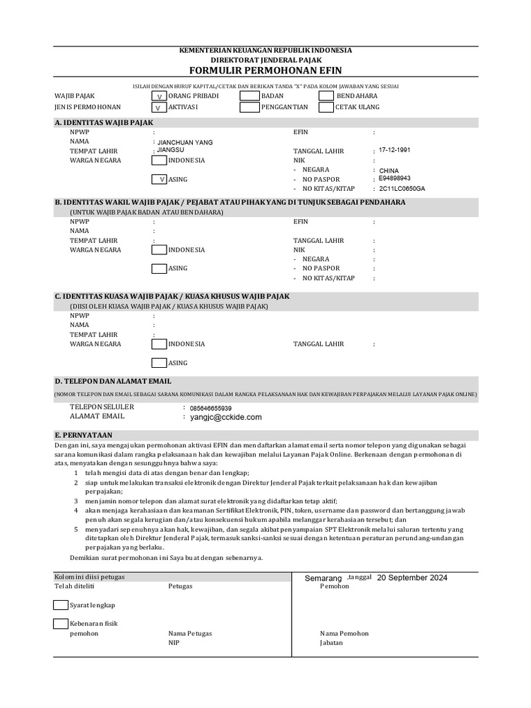 Form Permohonan EFIN (PDF Isian) | PDF