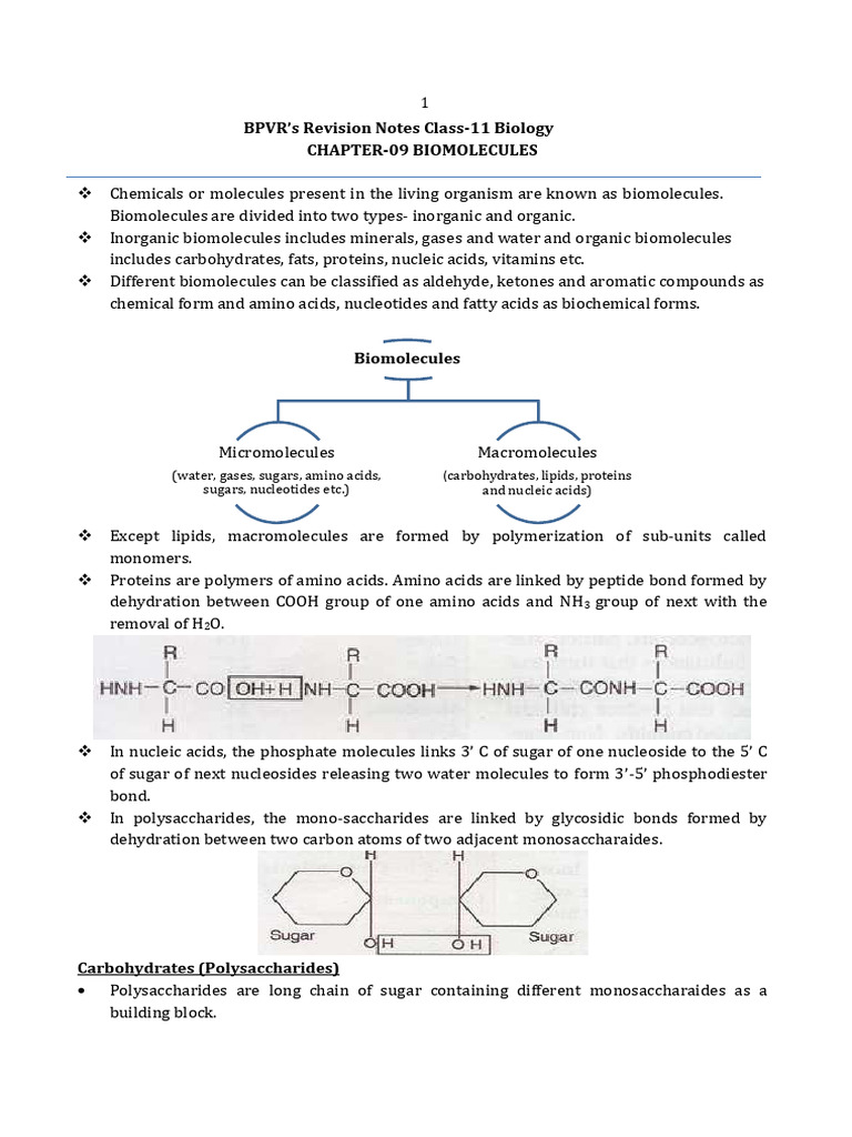 1.BPVR's Revision Chapter 9 Biomolecules | PDF | Biomolecules ...