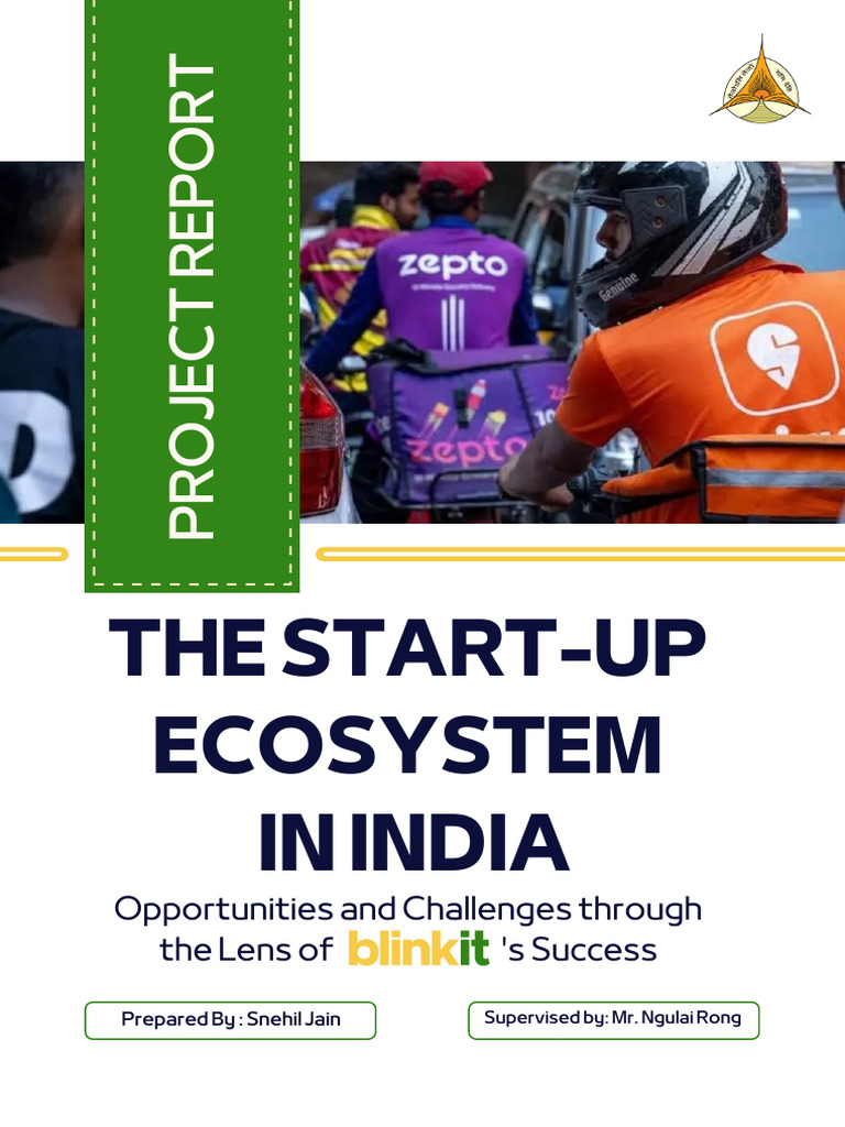 Blinkit Business Model | PDF | Startup Company | Small Business & Entrepreneurs