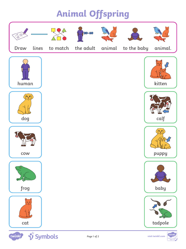 Match Adult Animals to Offspring | PDF
