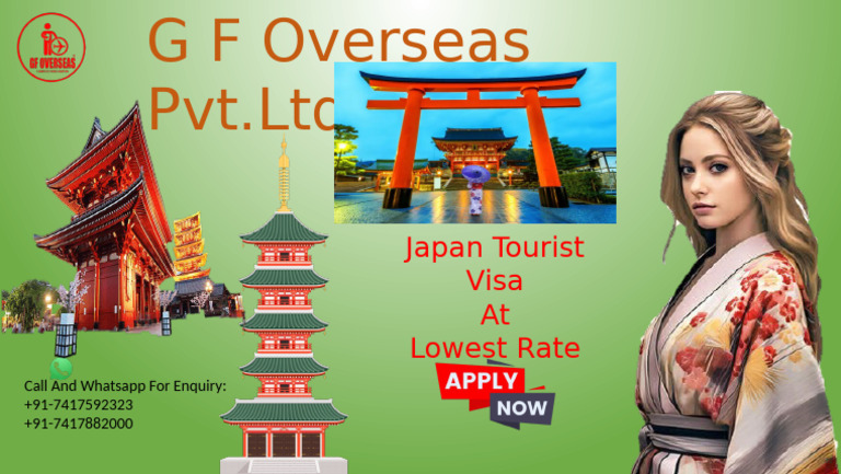 Japan Visa Flyer | PDF