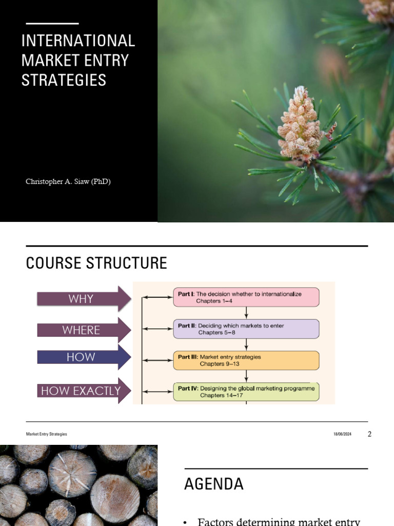 Session 5 - International Market Entry Strategies | PDF | Franchising ...