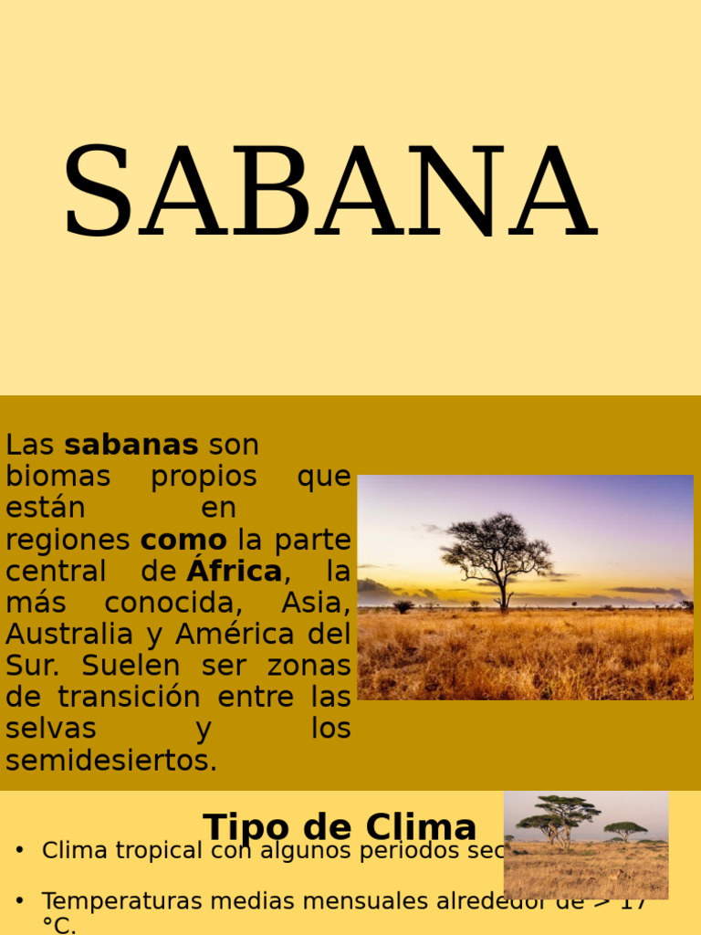 Ecosistema y Flora de la Sabana Africana | PDF | Sabana | Clima templado