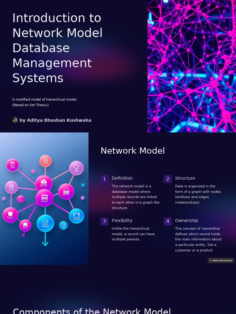 Introduction To Network Model Database Management Systems | PDF | Databases | Information Retrieval