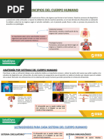 Anatomía del Colon Sigmoide y Recto | PDF | Intestino grueso | Recto