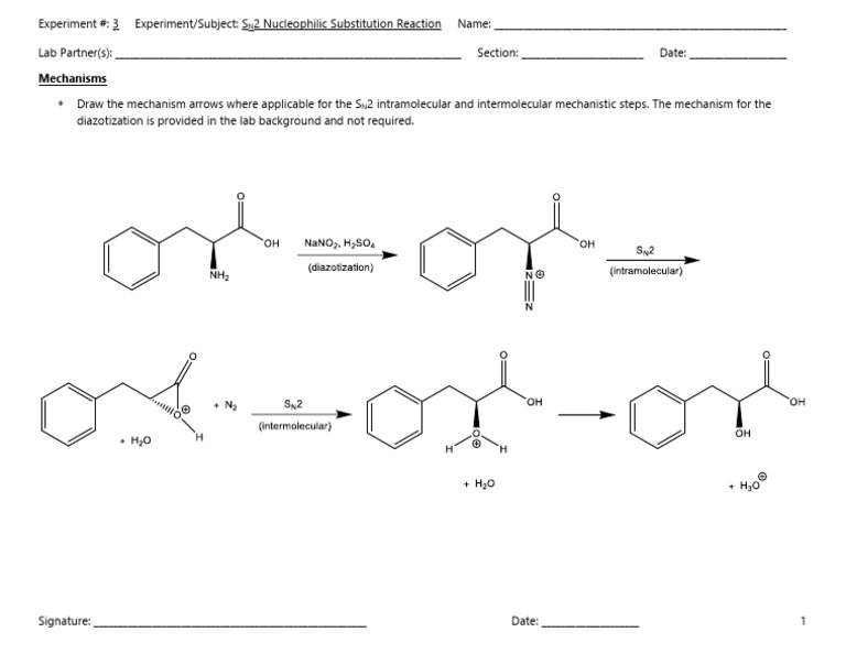 Lab 3 - SN2 Mechanisms Template - Fall | PDF