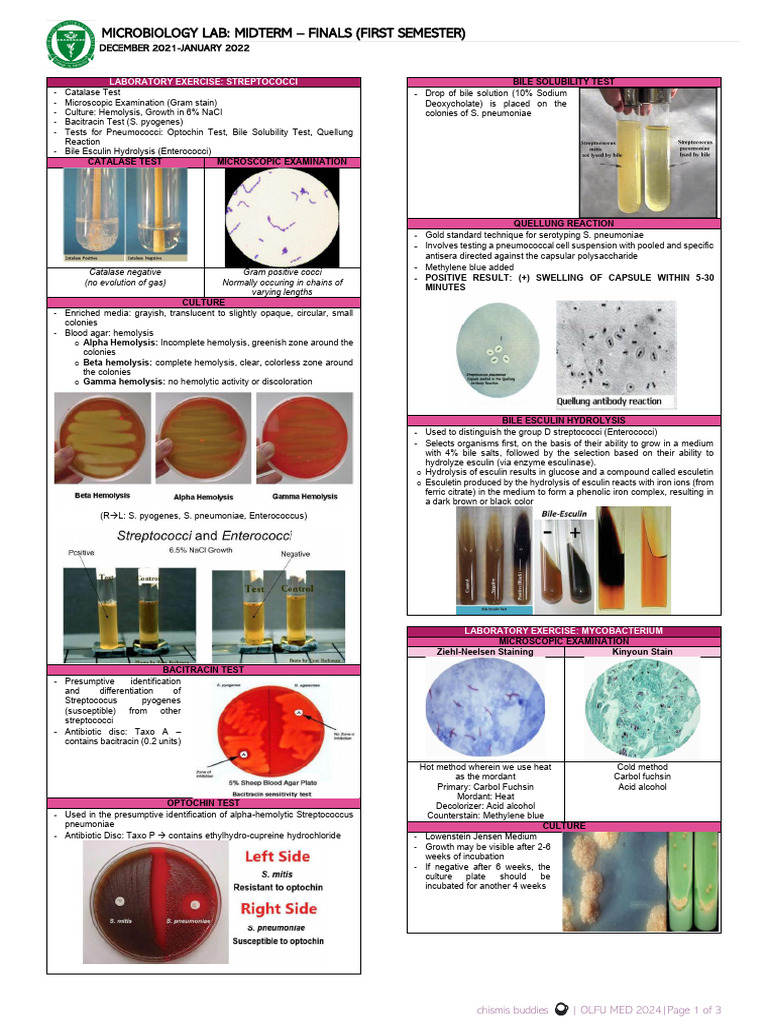 Microbio Midterm Laboratory | PDF | Staining | Microbiology