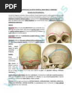 Region Superciliar ANATOMIA 2 FOLP | PDF | Anatomía humana | Cabeza y ...