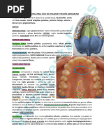 Anatomía del Paladar Duro y Blando | PDF