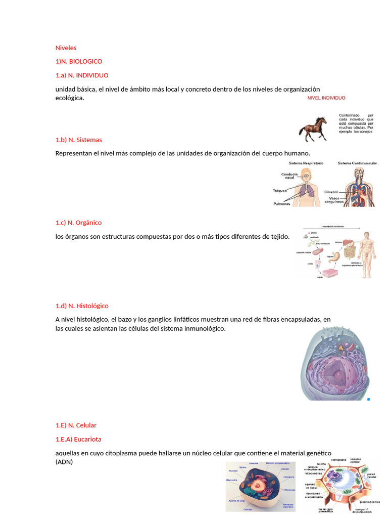Niveles | PDF
