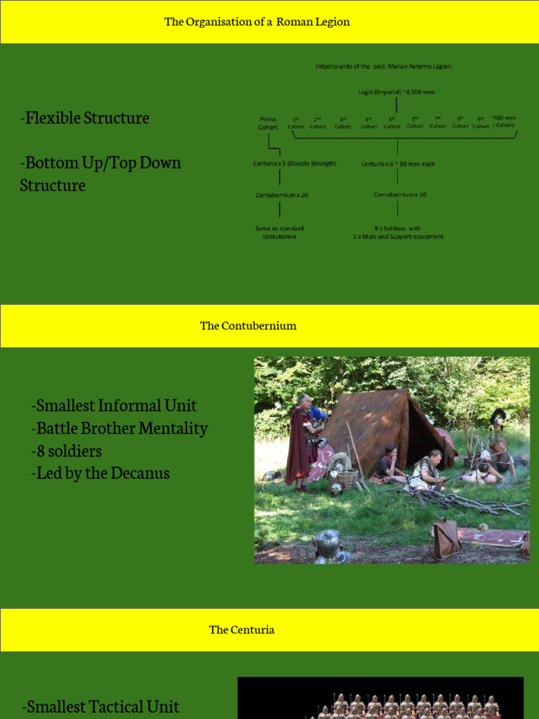 Structure of a Roman Legion | PDF