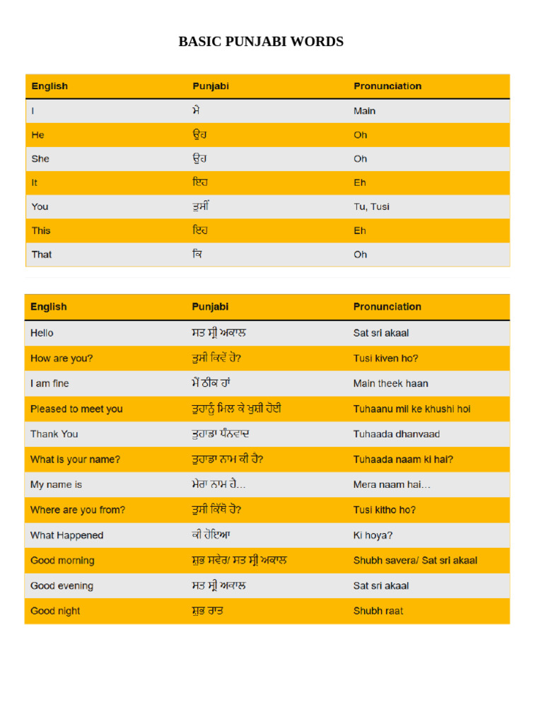 Punjabi Basics for Beginners | PDF