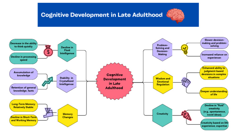 Cognitive Development in Late Adulthood | PDF