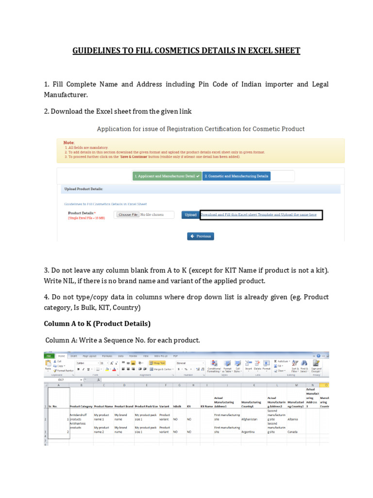 Guidelinedocument To Fill Excel Sheet | PDF | Microsoft Excel
