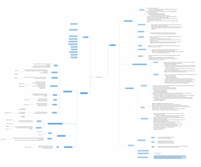 Mind Map | PDF