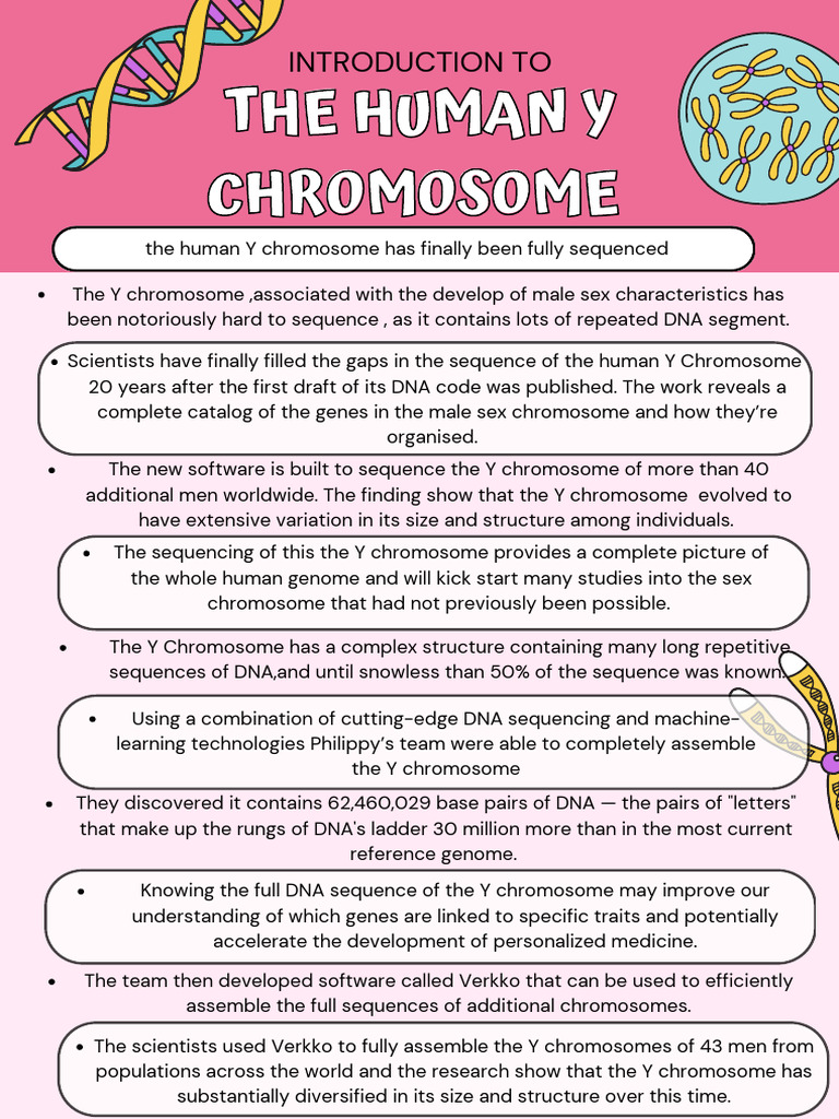 The Human Y Chromosome 2 | PDF | Dna | Dna Sequencing
