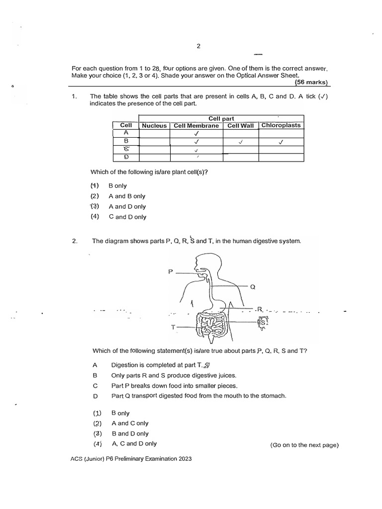 P6 Science Prelim 2023 ACSJ Exam Papers | PDF | Force | Water