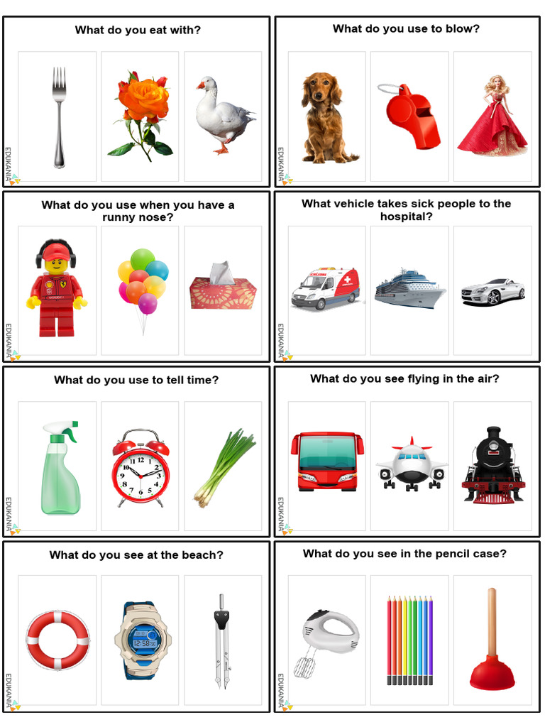 16 What Question Flashcards For Speech Therapy and ABA | PDF