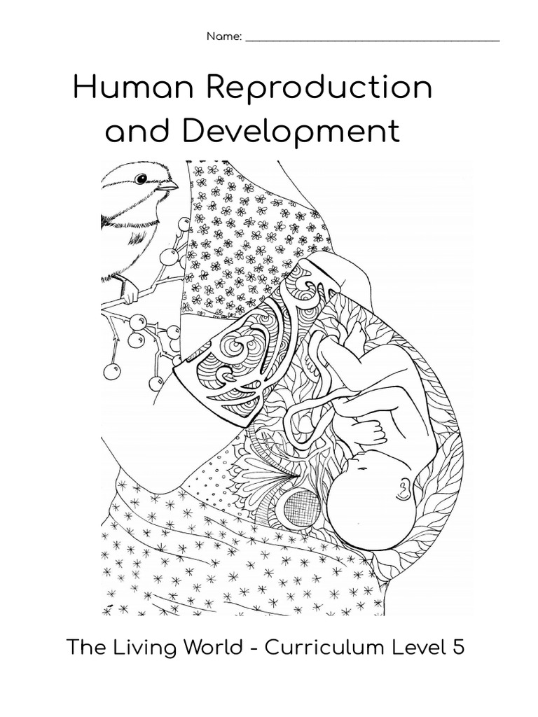Human Reproduction Booklet HAL Shortened (Master Copy) | PDF ...