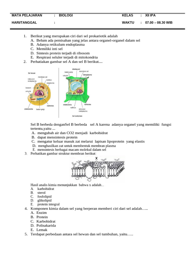 Soal UAS Biologi Kelas-XI Semester | PDF