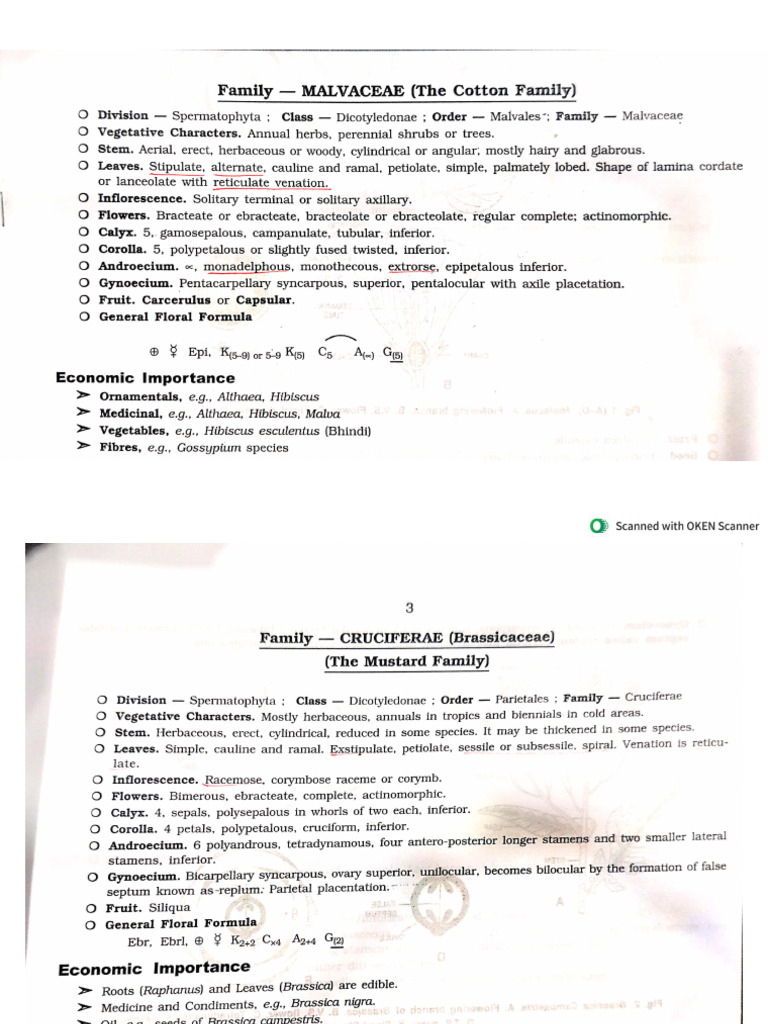 Example of Families | PDF