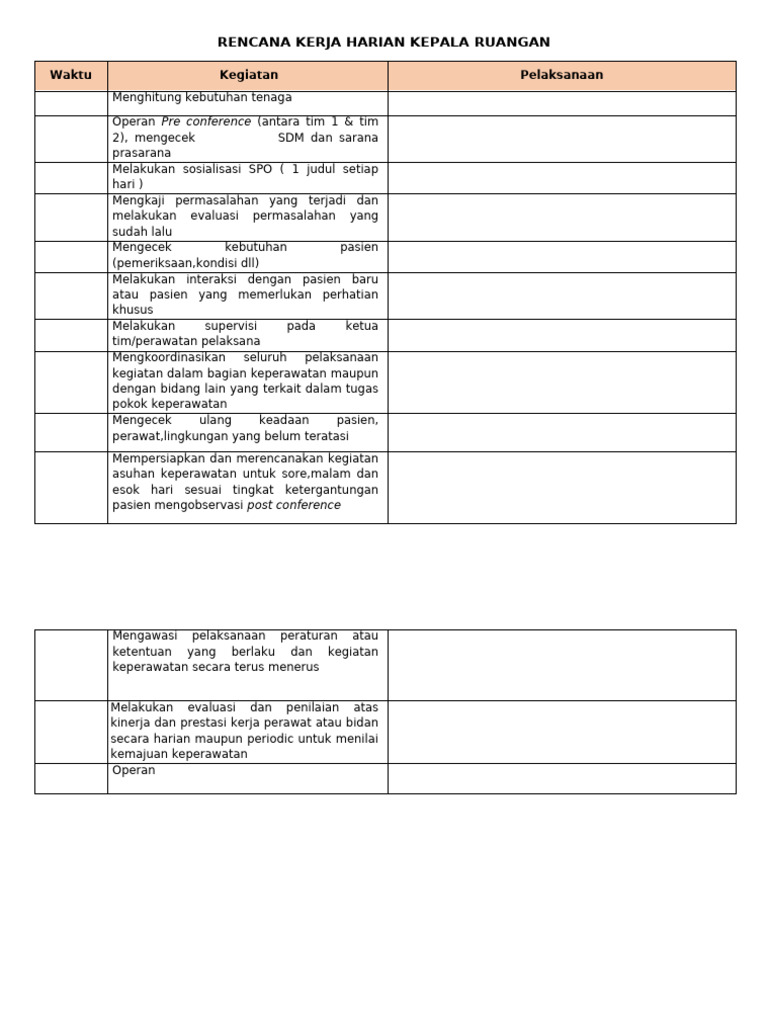 RENCANA KERJA HARIAN KEperawatan | PDF
