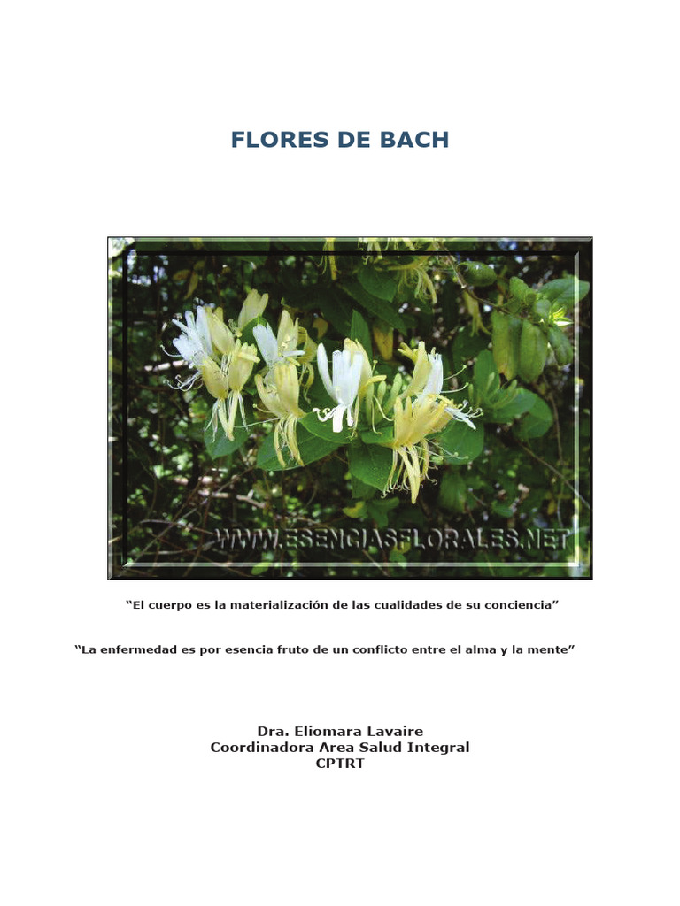 Technical Document Analysis | PDF