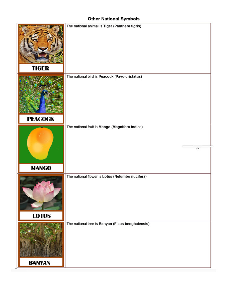 National Symbols of India Explained | PDF | Foreign Language Studies