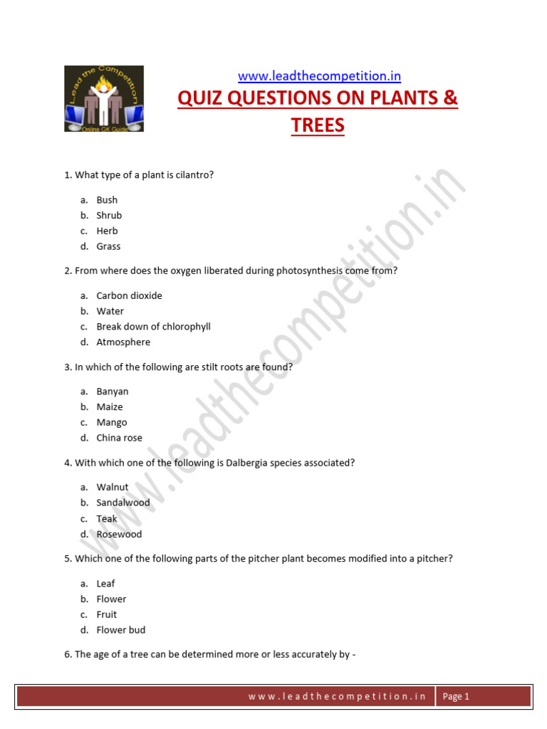 GK Questions On Plants and Trees | PDF | Plants | Trees