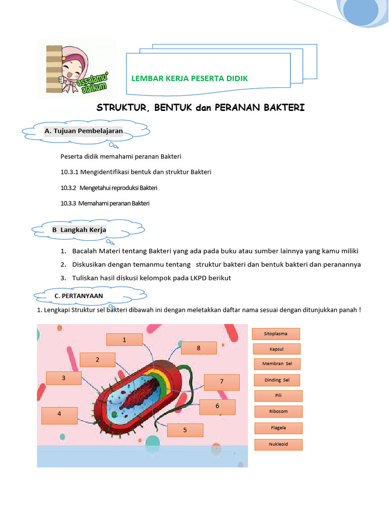 LKPD Bakteri | PDF