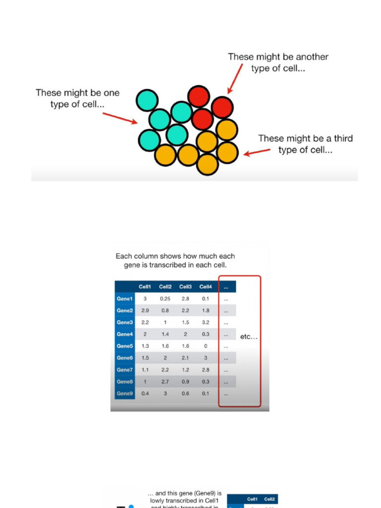 PCA Data Mining | PDF | Science & Mathematics