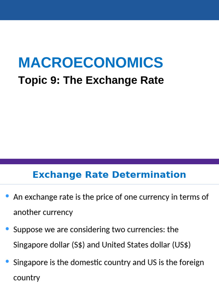 Section 6 Exchange Rate | PDF | Exchange Rate | Inflation