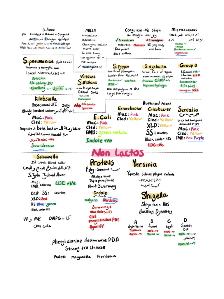Alyazeed Alyazid Microbiology Notes | PDF | Medical Specialties ...