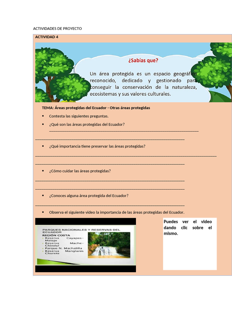 Actividades de Proyecto | PDF