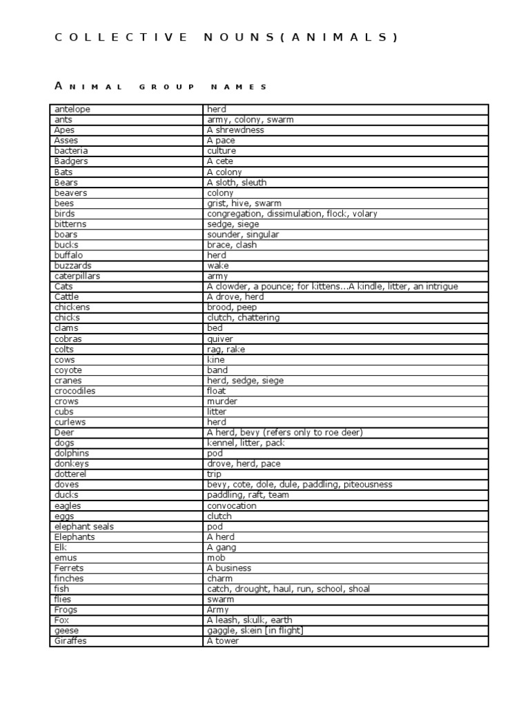 Animal Group Names (Collective Nouns | PDF | Birds | Organisms