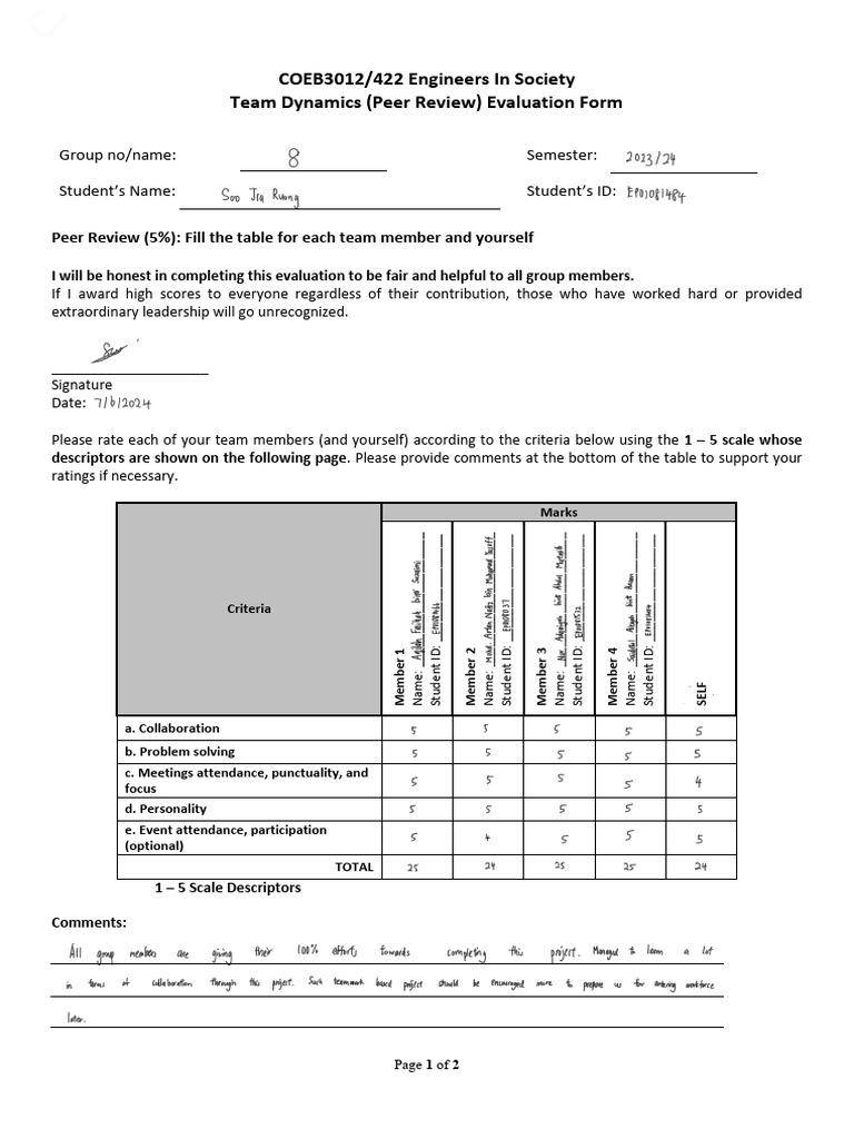 Team Dynamics Peer Review Form | PDF | Brainstorming | Social Psychology