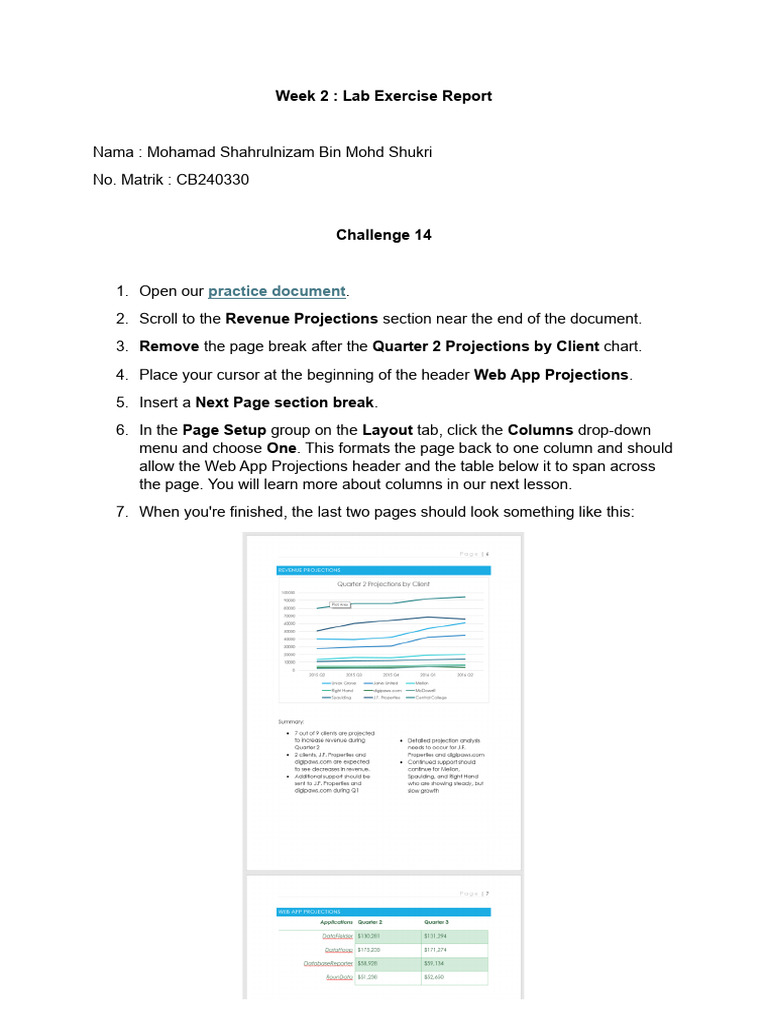 Week 2 Lab Exercise Instructions | PDF | Spreadsheet | Microsoft Excel