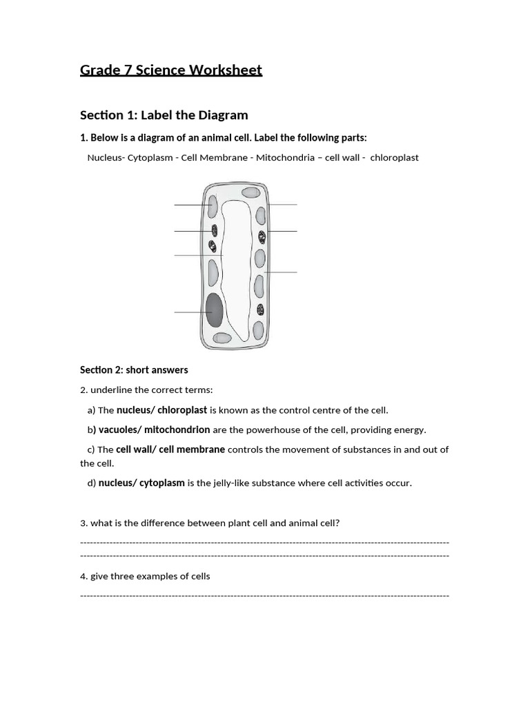 Grade 7 Science Assessment | PDF | Science & Mathematics
