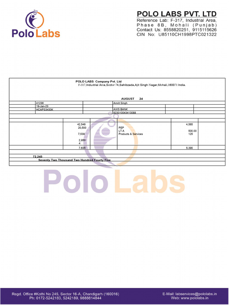 Polo Labs Amrit Singh Salary Slip All | PDF | Banking | Payments