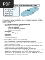 Binary Fission in Paramecium | PDF