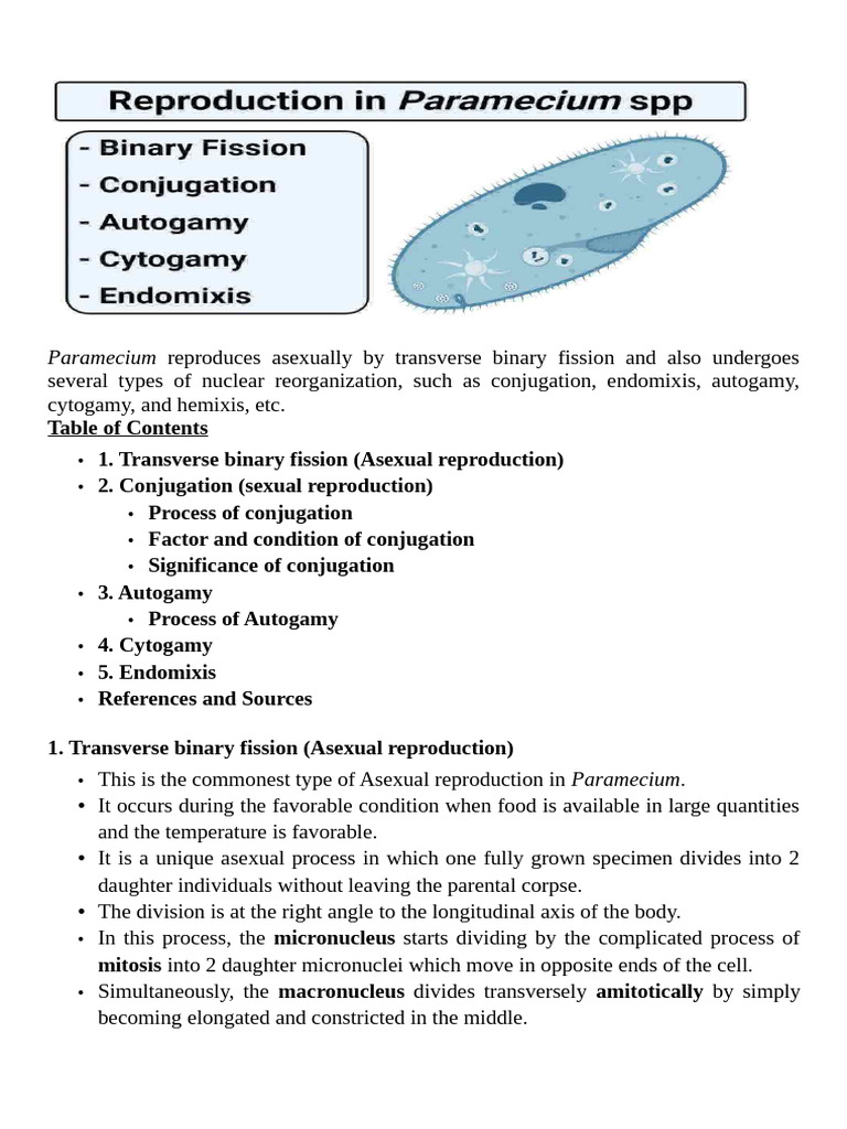 Reproduction in Paramecium | PDF | Biological Interactions | Cell Biology
