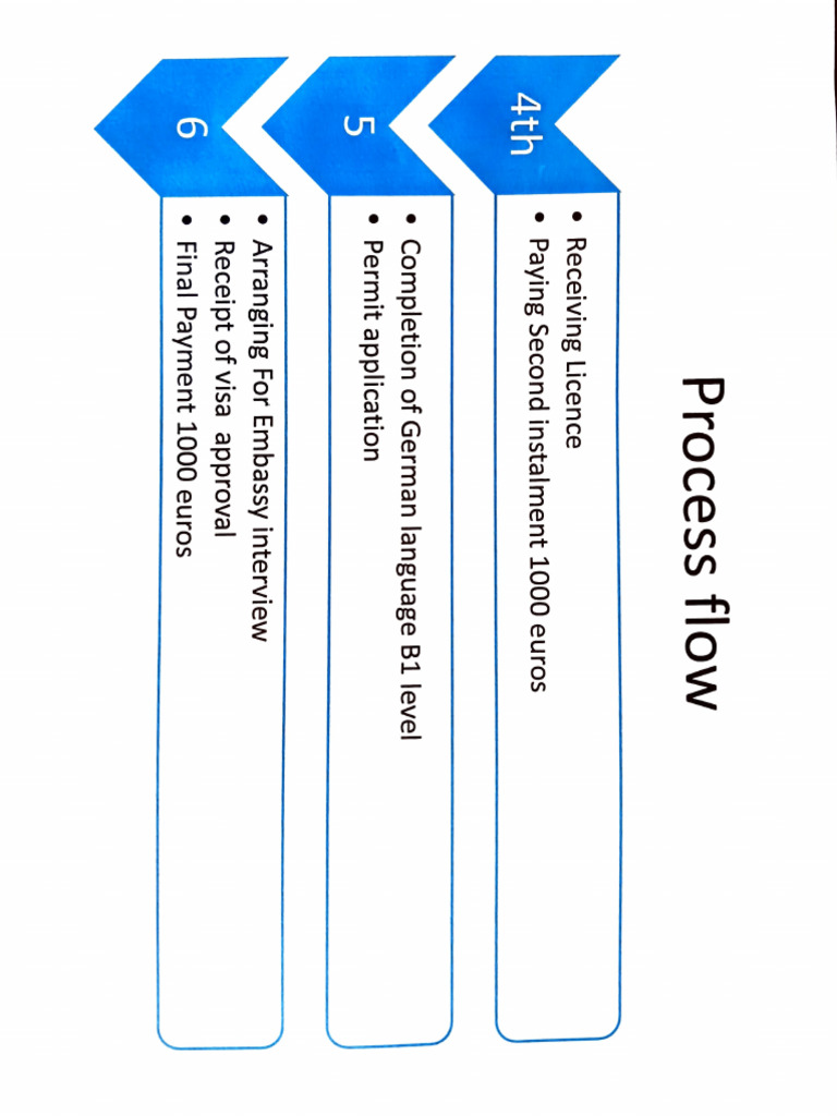 Germany Nurses Process Flowchart 2 | PDF