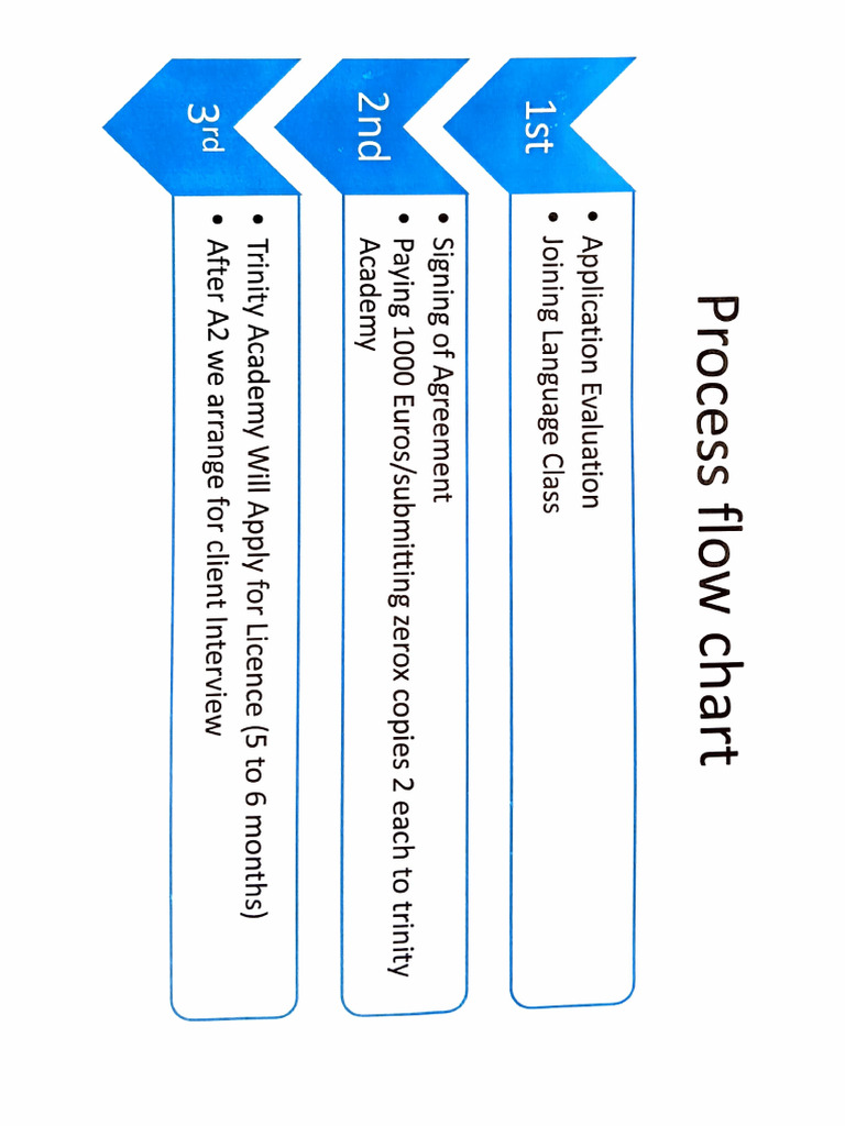 Trinity Nurses Flowchart 2 | PDF