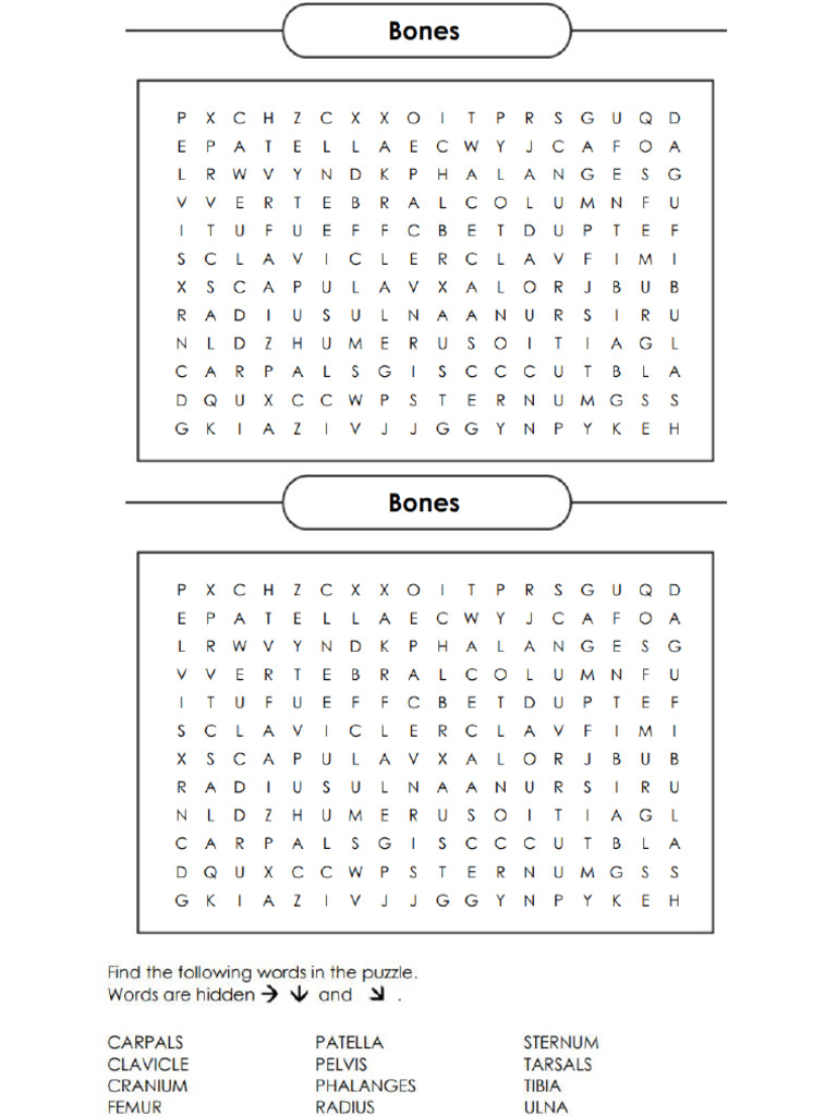 Bones Wordsearch | PDF