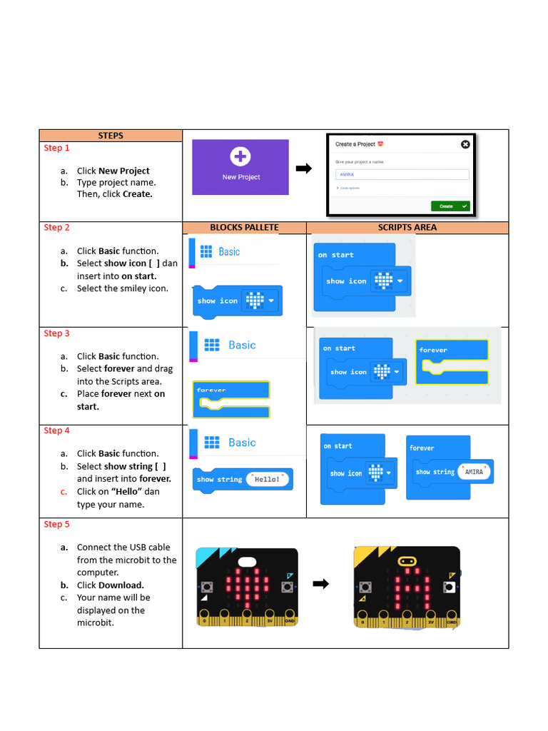 Microbit Project Setup Guide | PDF