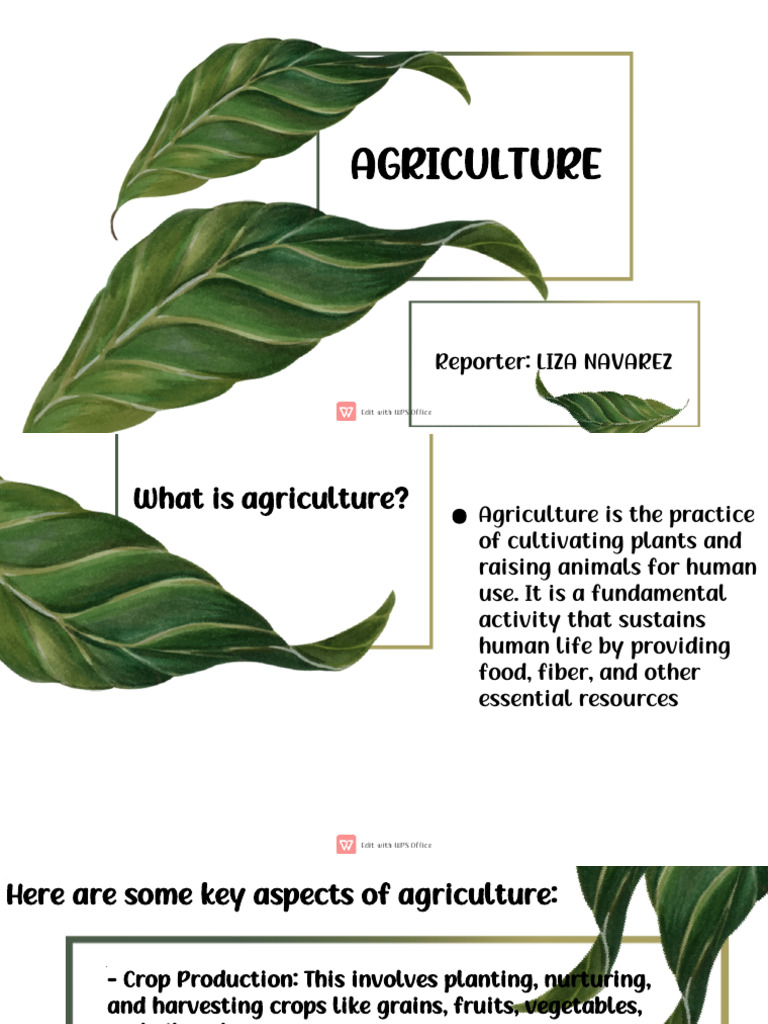 Agriculture Mwamwa | PDF | Agriculture | Food Industry
