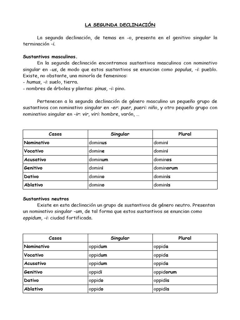 Segunda Declinación en Latín | PDF | Morfología Lingüística | Tipología ...