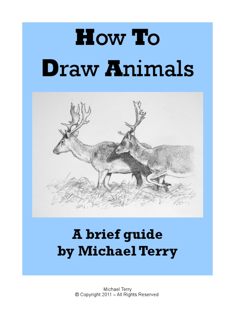 How Draw Animals | PDF | Deer