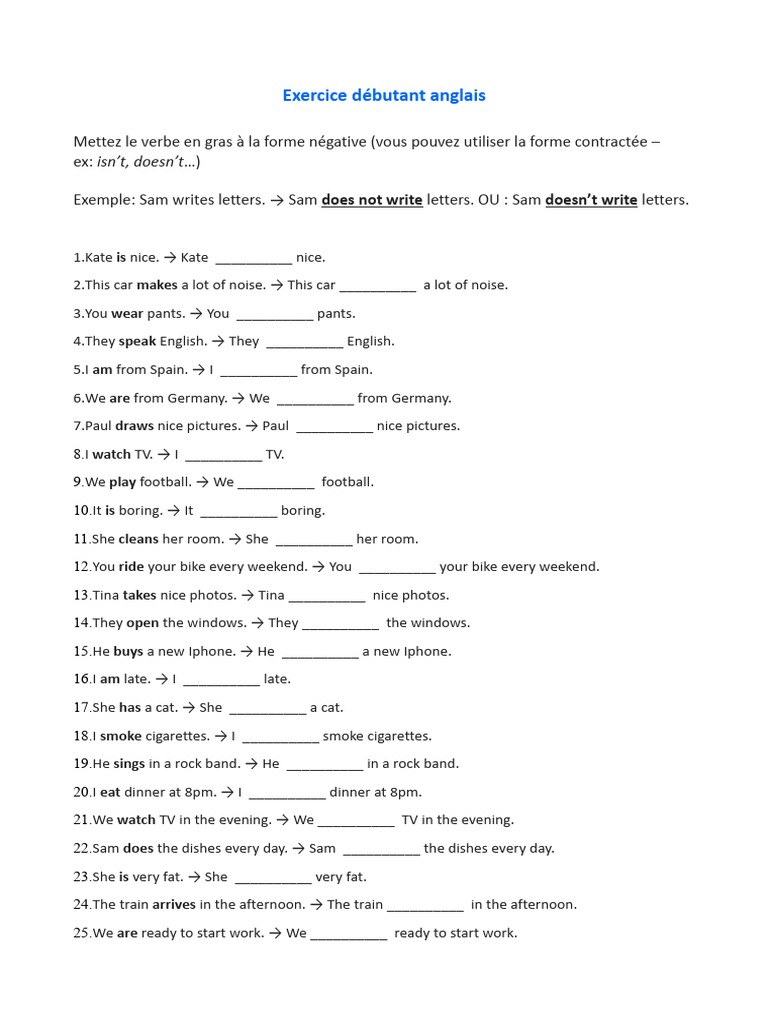 Exercice Debutant Anglais Negation | PDF